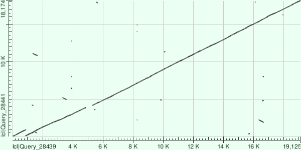 GitHub - shelkmike/Dot_plot_like_in_BLAST: Dot_plot_like_in_BLAST, a standalone tool for making ...